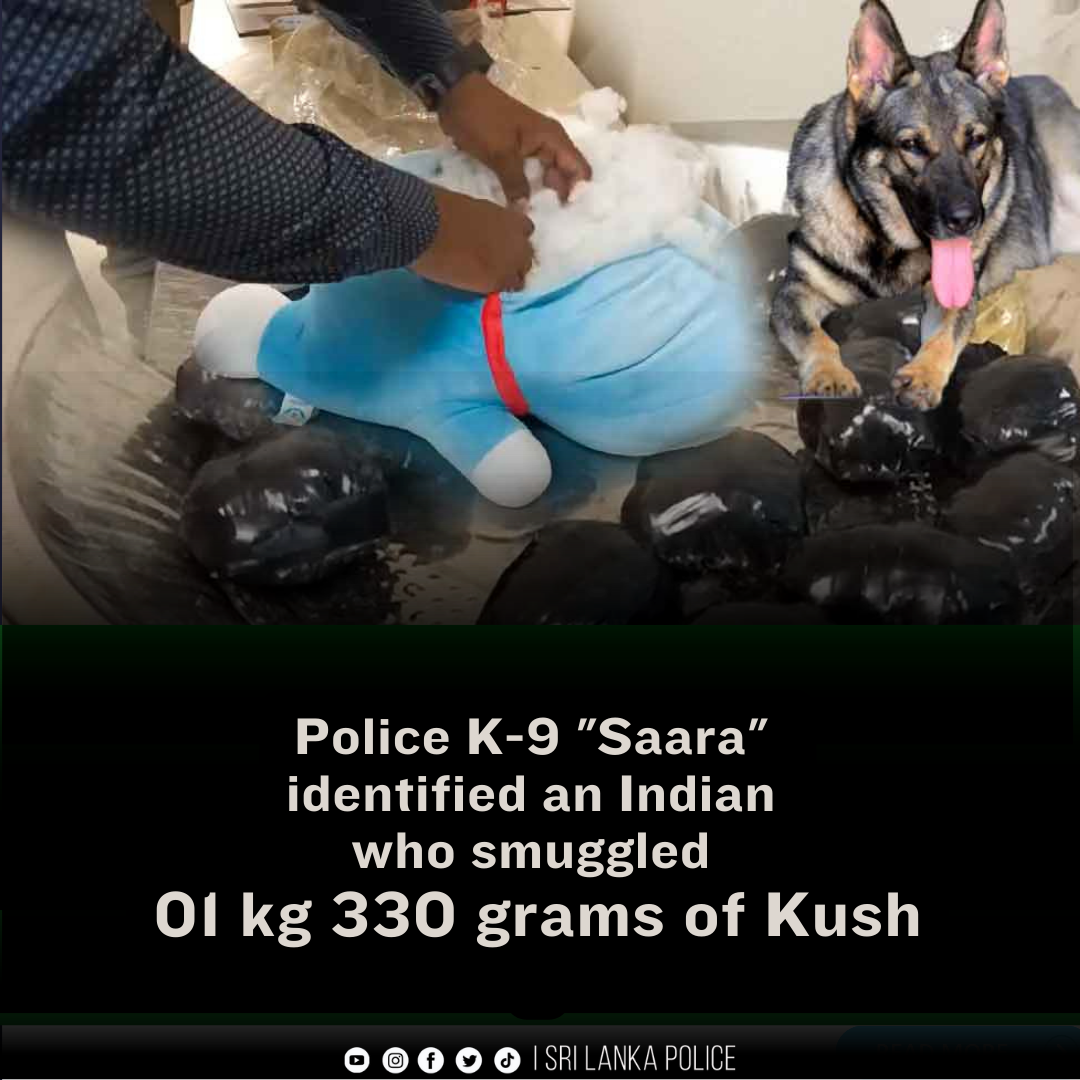 Police K-9 “Saara” identified an Indian who smuggled 01 kg 330 grams of ...